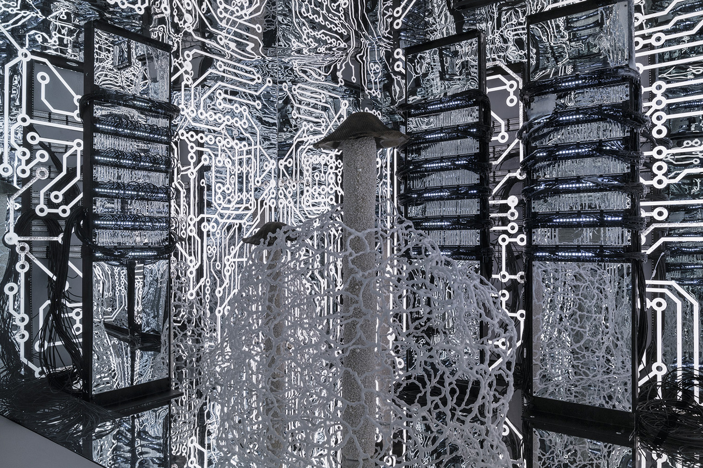 Anicka Yi: the artist who wants you to smell her art – HERO