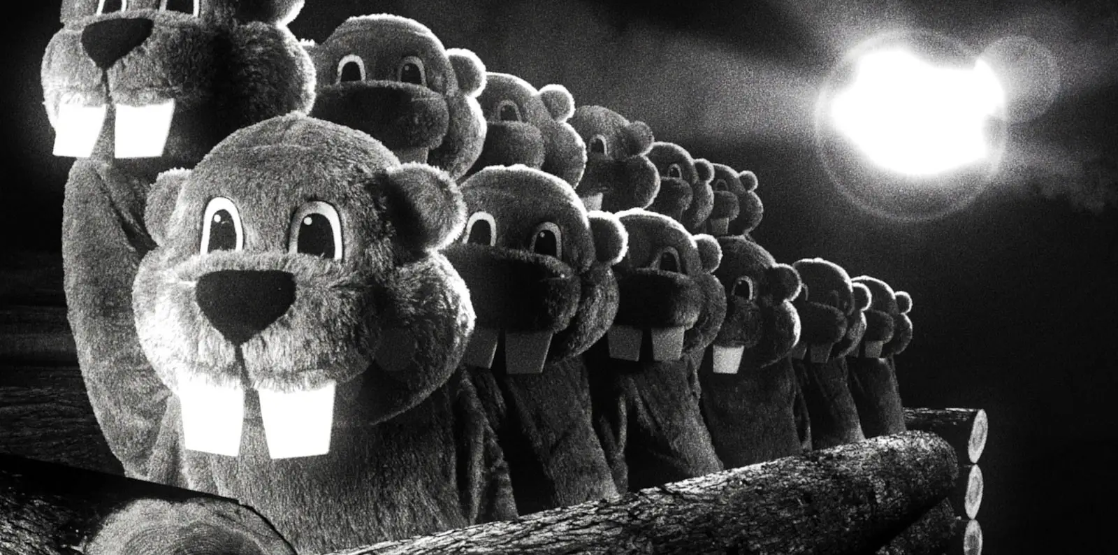 Lots of angry beavers, Penny Slinger, and Patti Smith at dusk – HERO